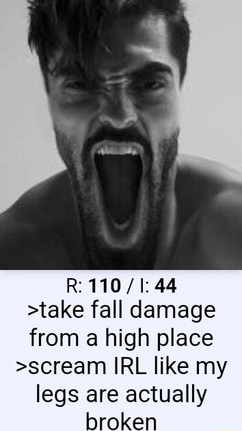 44 >take fall damage from a high place >scream IRL like my legs are ...