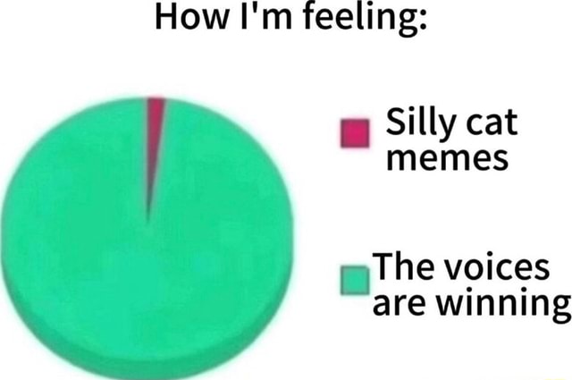 How I'm feeling: Silly cat memes The voices are winning - iFunny