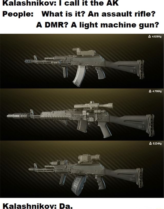 People: What is it? An assault rifle? A DMR? A light machine gun ...