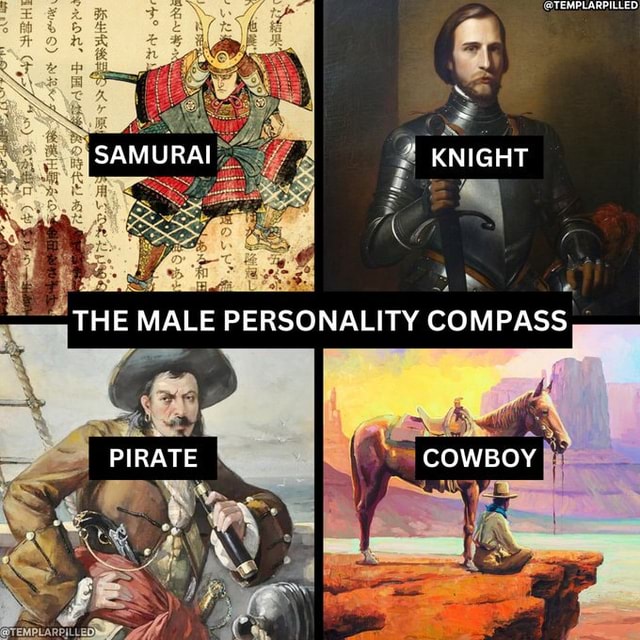 WILMPLARPILLED 'SAMURAI KNIGHT THE MALE PERSONALITY COMPASS PIRATE ...