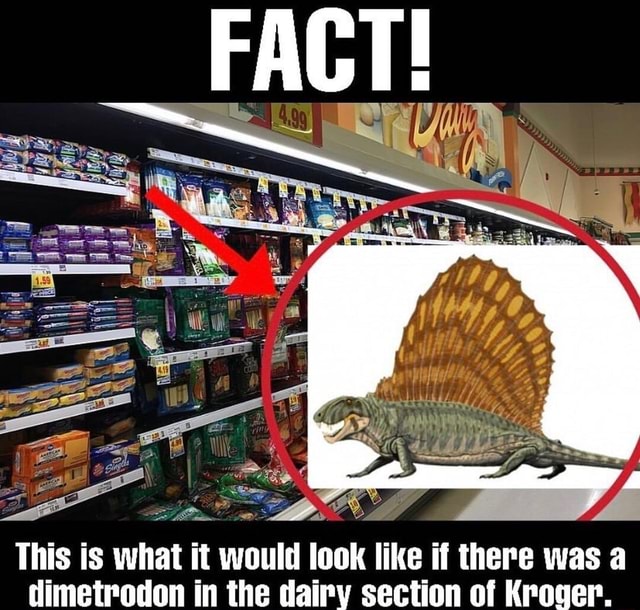 This is what it would look like if there was a dimetrodon in the dairy ...