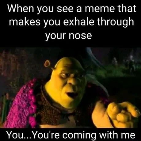 When you see a meme that makes you exhale through your nose coming with ...