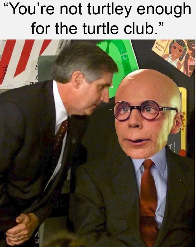 "You're not turtley enough for the turtle club. - iFunny