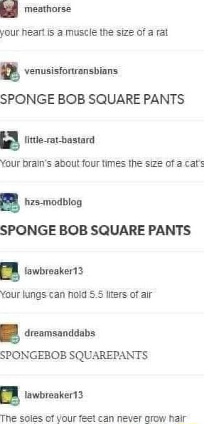 Your heart IS a muscle the size of a rat SPONGE BOB SQUARE PANTS Your ...