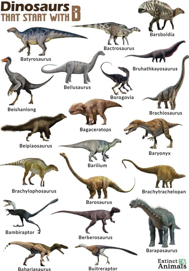 Dinosaurs THAT START WITH Barsboldia Bruhathkayosaurus Bellusaurus ...