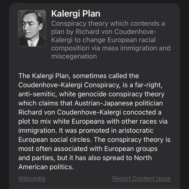 Just a Theory… a GAME THEORY - Kalergi Plan Conspiracy theory which ...