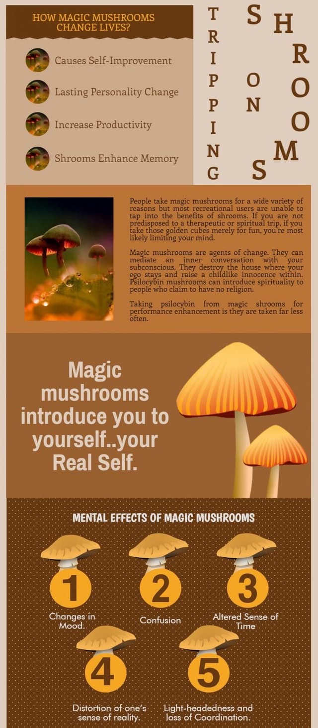 HOW MAGIC MUSHROOMS CHANGE LIVES? Causes Self-Imaprovement Lasting Personality Change Increase ...