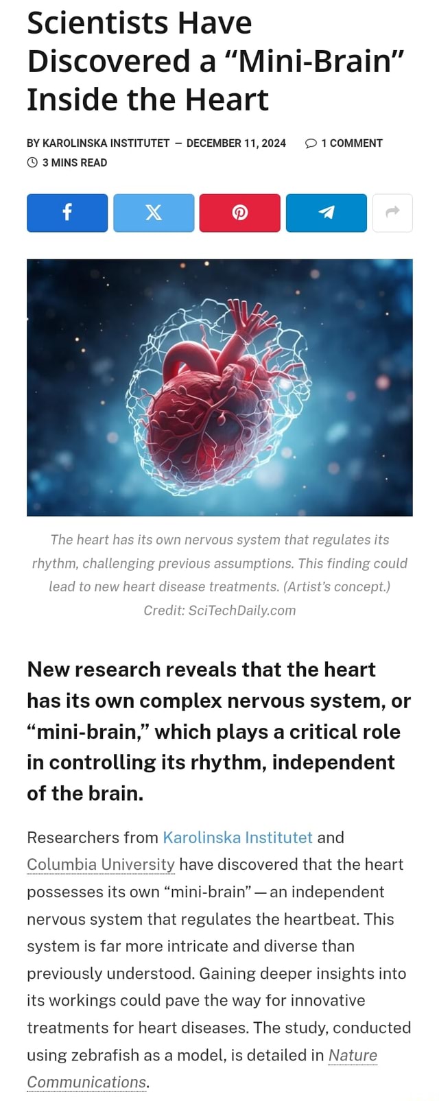 Scientists Have Discovered a "Mini-Brain" Inside the Heart BY ...