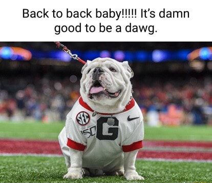 Back to back baby!!! It's damn good to be a dawg. - iFunny