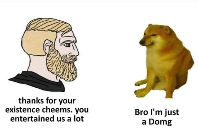 Thanks for your existence cheems. you Bro I'm just entertained us a lot ...