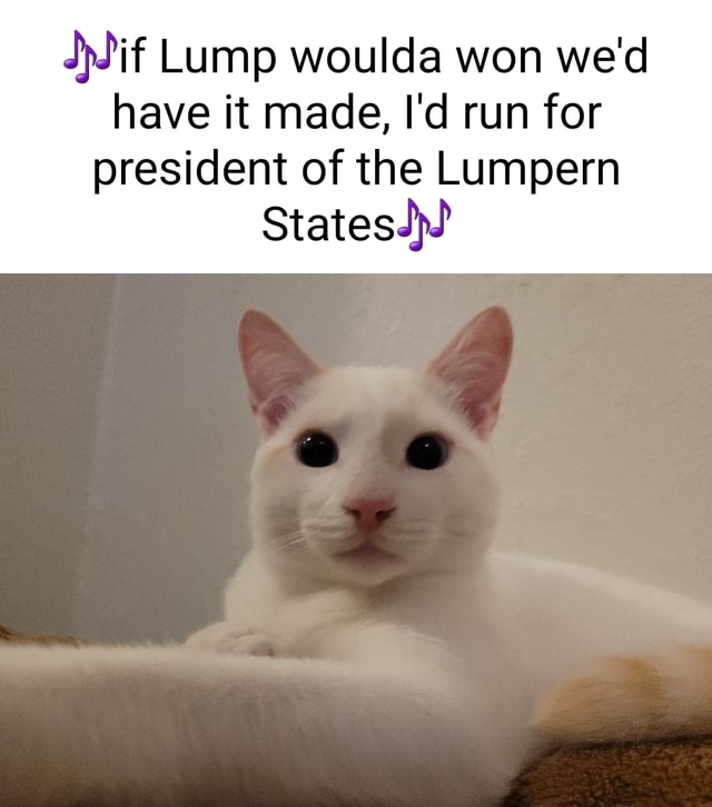 }if Lump woulda won we'd have it made, I'd run for president of the ...