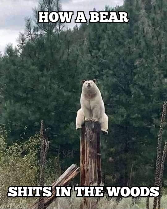 HOW A BEAR SHITS IN THE WOODS - iFunny