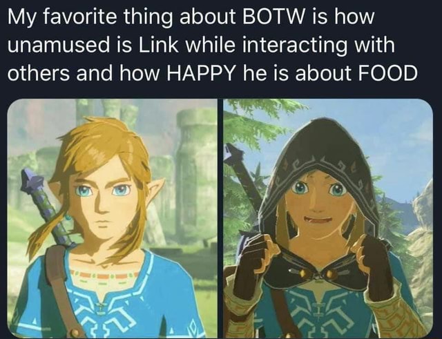 My favorite thing about BOTW is how unamused is Link while interacting ...