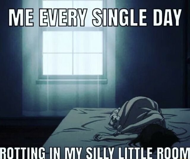 ME EVERW SINGLE DAY ROTTING IN MY SILLY LITTLE ROOM - iFunny