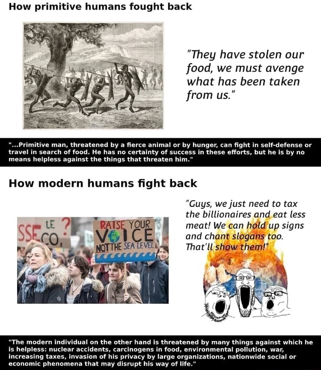 How primitive humans fought back "They have stolen our food, we must ...