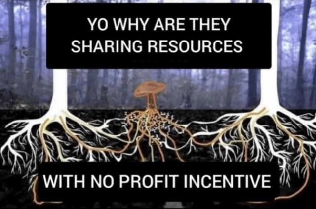 YO WHY ARE THEY SHARING RESOURCES ff SS, = ITH NO PROFIT INCENTIVE - iFunny