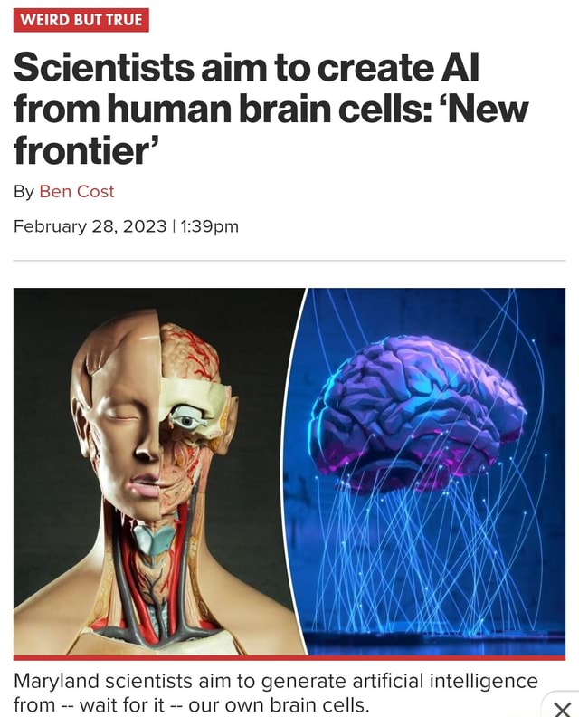 WEIRD BUT TRUE Scientists aim to create Al from human brain cells: 'New ...