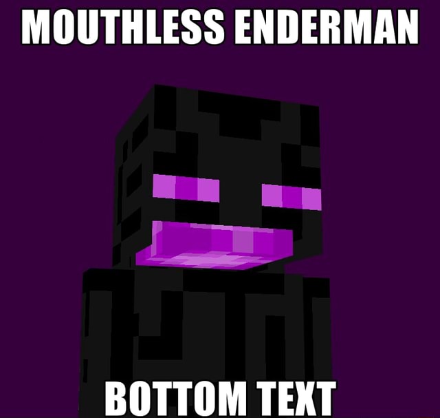 MOUTHLESS ENDERMAN BOTTOM TEXT - iFunny