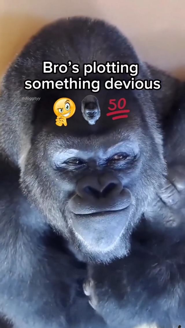 Bro's plotting something devious -~Sa - iFunny