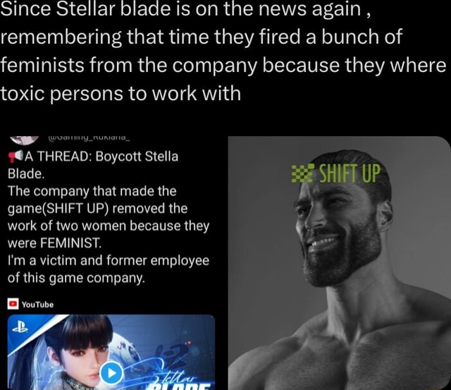 Since Stellar blade is on the news again , remembering that time they ...