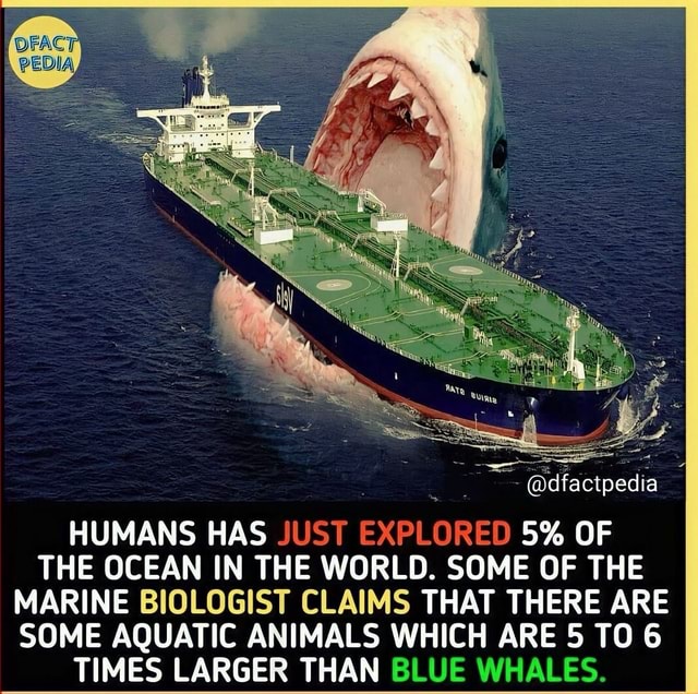 PEDIA @dfactpedia HUMANS HAS JUST EXPLORED 5% OF THE OCEAN IN THE WORLD ...