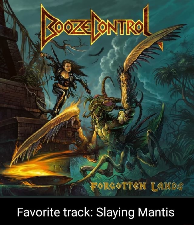 FORGOTTEN Favorite track: Slaying Mantis - iFunny