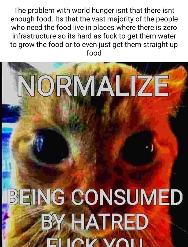 The problem with world hunger isnt that there isnt enough food. Its ...