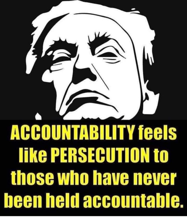 ACCOUNTABILITY feels like PERSECUTION to those who have never been held ...