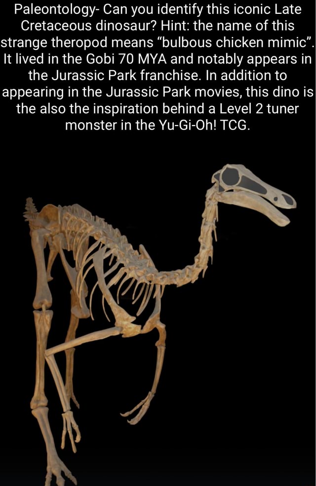 Paleontology- Can you identify this iconic Late Cretaceous dinosaur ...