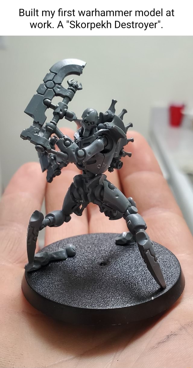 Built my first warhammer model at work. A "Skorpekh Destroyer ...