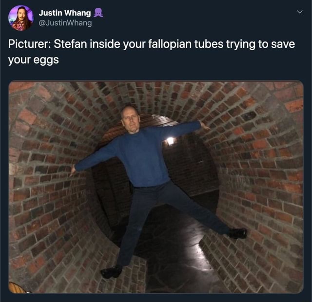 Picturer: Stefan inside your fallopian tubes trying to save your eggs ...