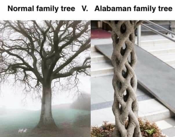 Normal family tree V. Alabaman family tree - America’s best pics and videos