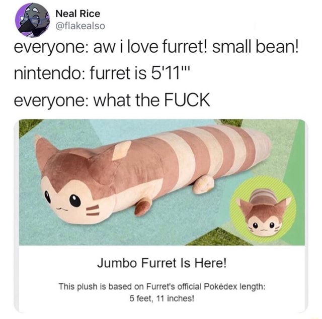 0 Neal Rice @flakealso everyone: aw i love furret! small bean! nintendo ...