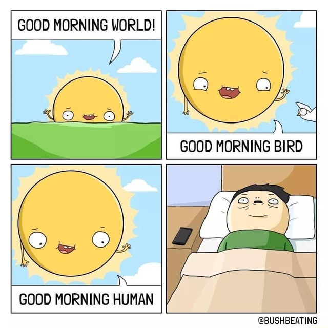 GOOD MORNING WORLD! GOOD MORNING HUMAN GOOD MORNING BIRD @BUSHBEATING ...