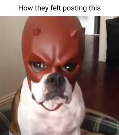 How they felt posting this - iFunny