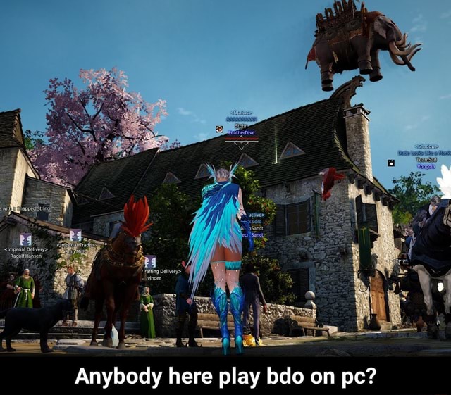 Anybody here play bdo on pc? - iFunny