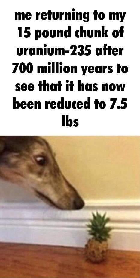 Me returning to my 15 pound chunk of uranium-235 after 700 million ...