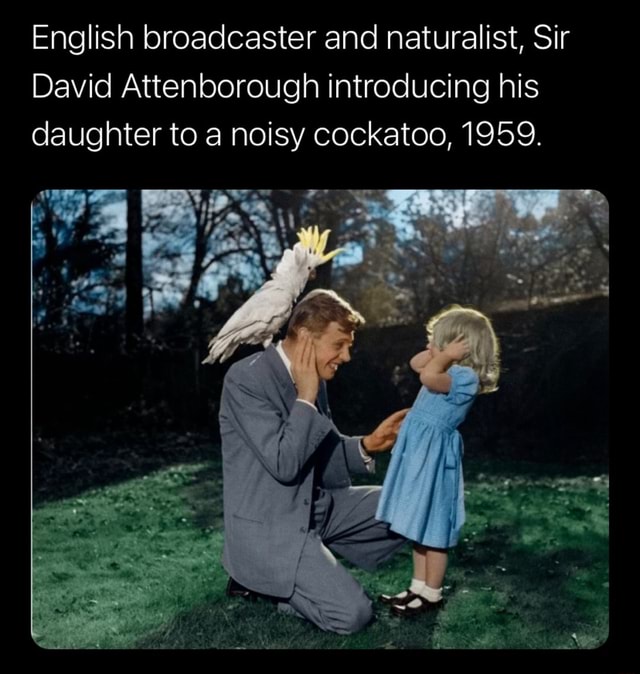 English broadcaster and naturalist, Sir David Attenborough introducing ...