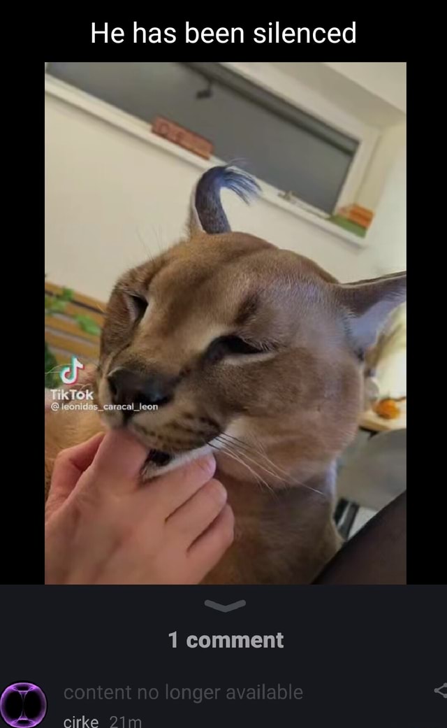 He has been silenced 1 comment cirke - iFunny