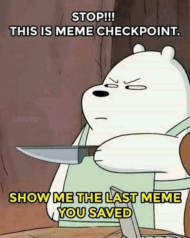 STOP!!! THIS IS MEME CHECKPOINT. MEME - iFunny