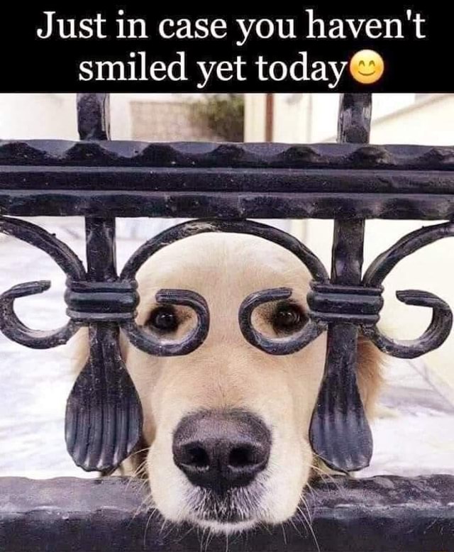 Just in case you haven't smiled yet today@ - iFunny