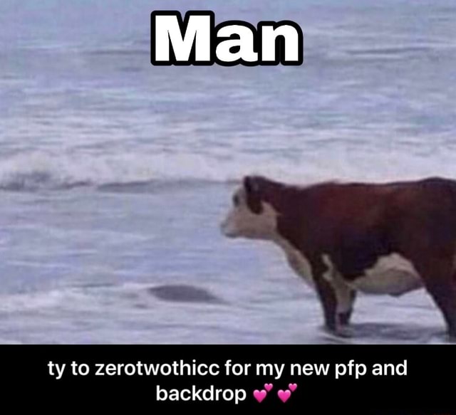 Ty to zerotwothicc for my new pfp and backdrop 9 - ty to zerotwothicc ...