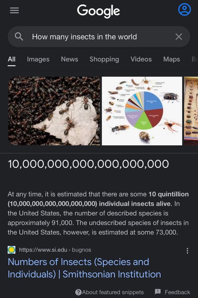 = Google How many insects in the world All Images News Shopping Videos ...