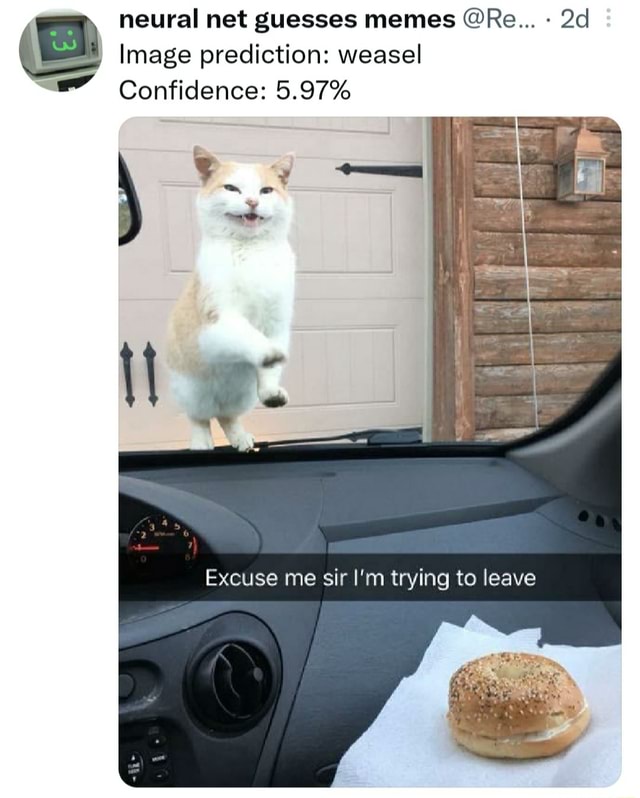 Neural net guesses memes @Re... Image prediction: weasel Confidence: 5. ...
