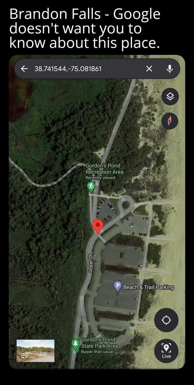 Brandon Falls - Google doesn't want you to know about this place. 38. ...