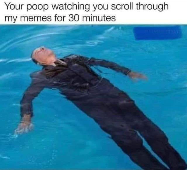 Your poop watching you scroll through my memes for 30 minutes - iFunny
