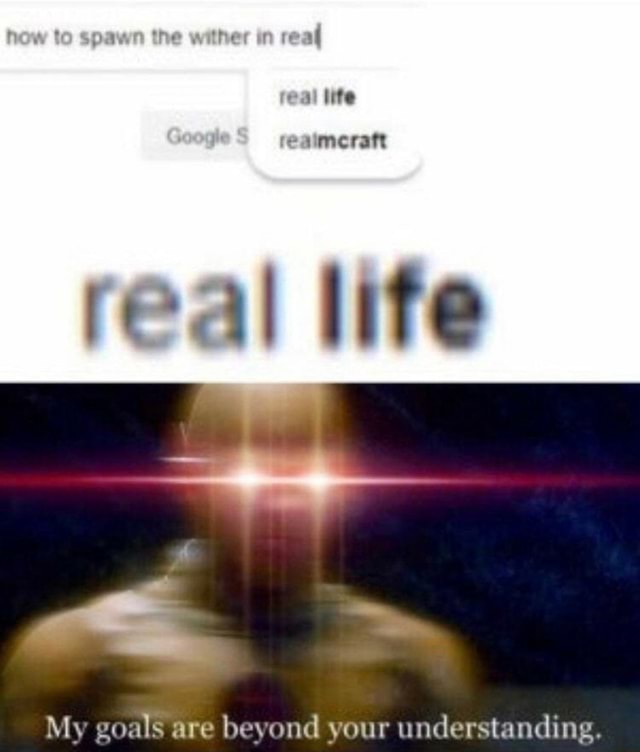 Eal life real life My goals are beyond your understanding, - iFunny