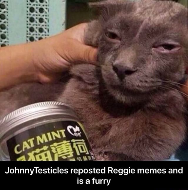 JohnnyTesticles reposted Reggie memes and is a furry - JohnnyTesticles ...
