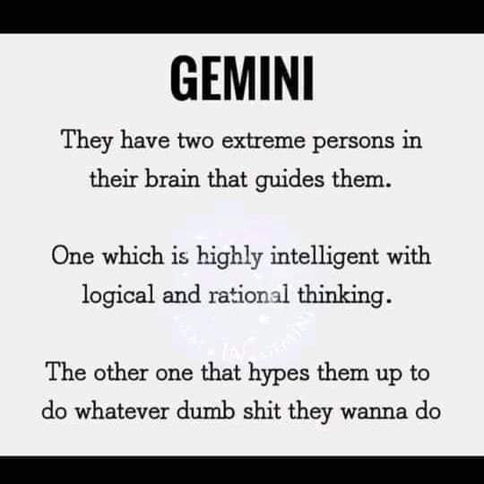 Best of both worlds😌 Follow @geminihumour for more gemini memes! ♊ ...