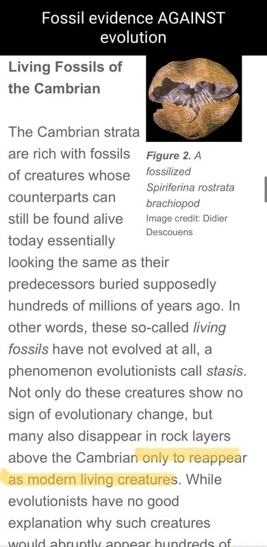 Fossil Evidence Against Evolution Living Fossils Of The Cambrian The